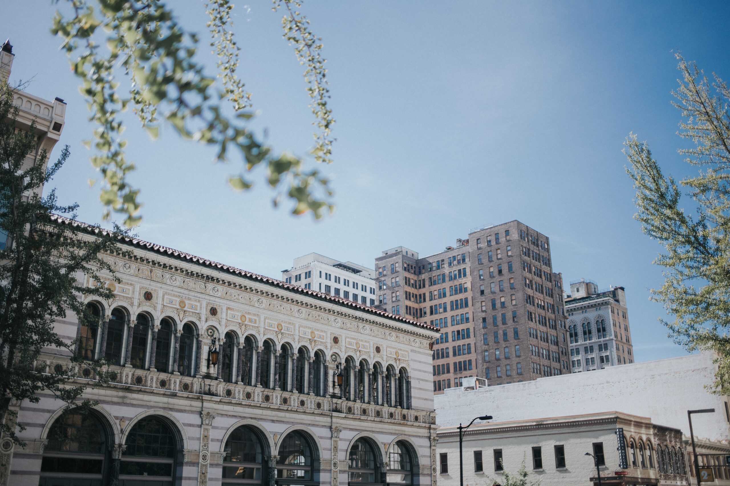 Online Passport Photos in Under 10 Minutes - Alabama Passport Photos